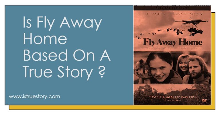 Is Fly Away Home Based On A True Story?