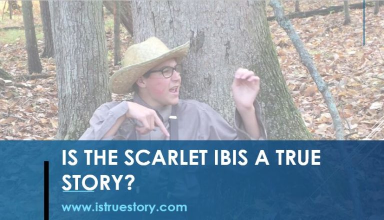 Is The Scarlet Ibis A True Story? Exploring The Scarlet Ibis Tale