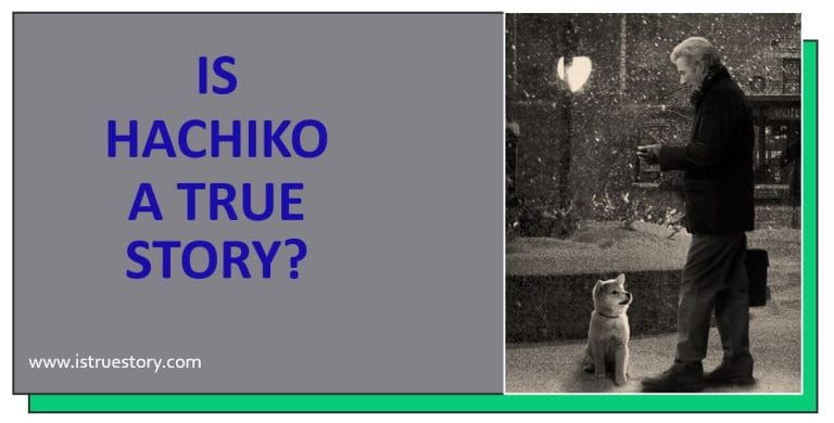 Is Hachiko A True Story? The Real Loyal Dog And What Happened